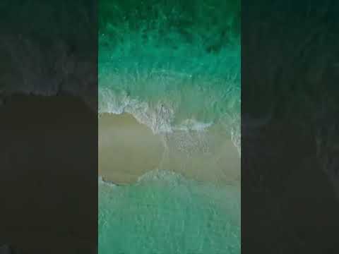 How to explore a sand bank in the Maldives.