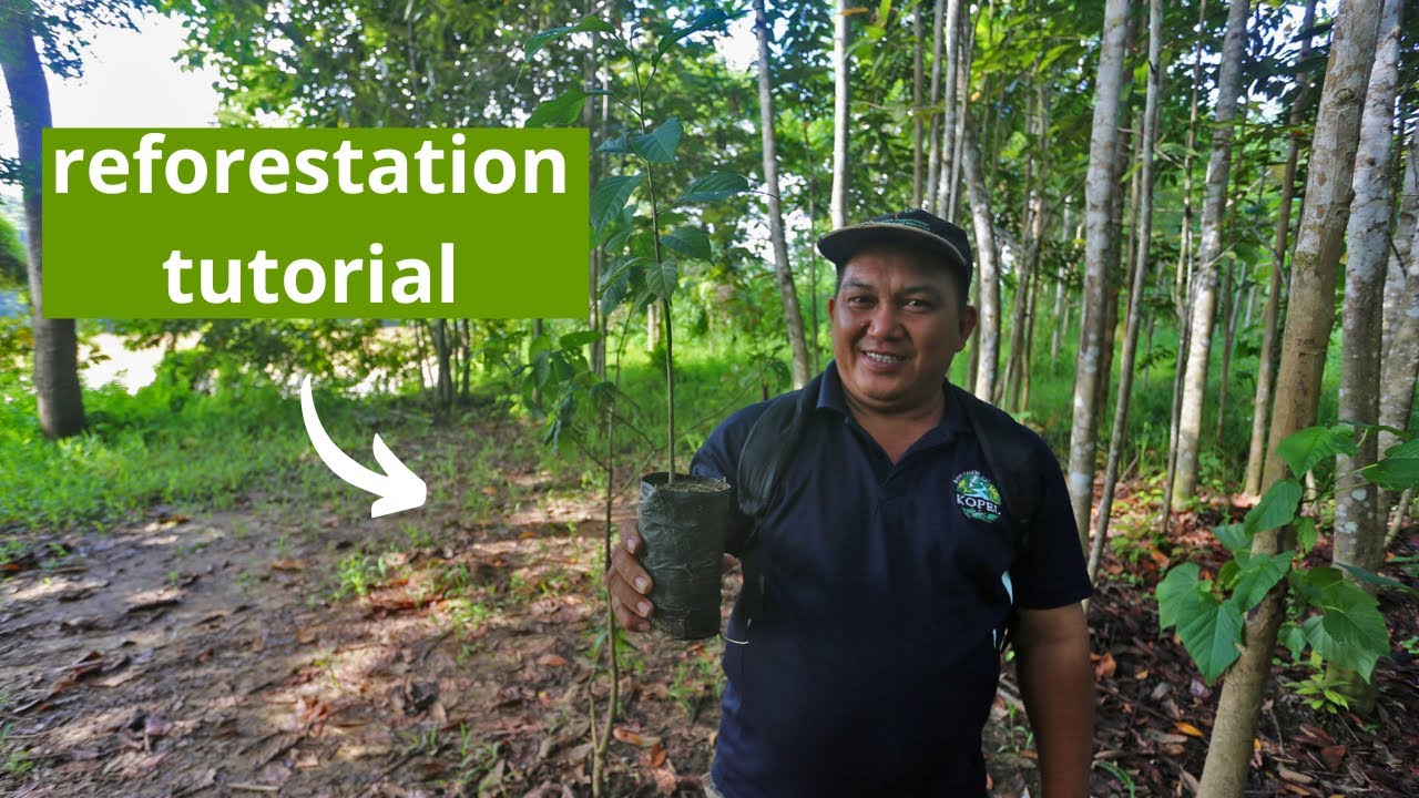 Find a reforestation project with Mongabay's Reforestation.app (Tutorial)