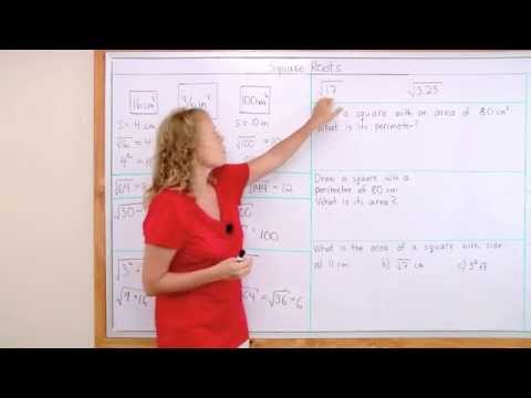 Learn Square Roots: Beginner Lesson (Pre-algebra)