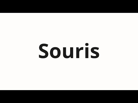 How to pronounce Souris