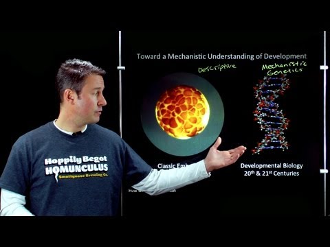 Online Developmental Biology: Overview of the Field