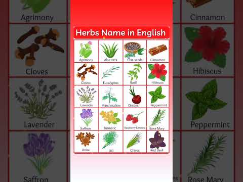 Herbs Name in English With Picture 🌿 | Kids Vocabulary 🔥🔥