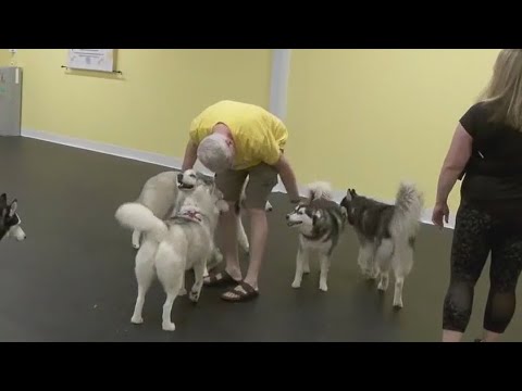 Anytime Puppy Playground opens in Apple Valley