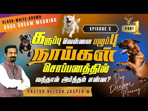 DOG DREAM MEANING IN TAMIL PART 1| TAMIL CHRISTIAN MESSAGE | PASTOR NELSON JASPER W
