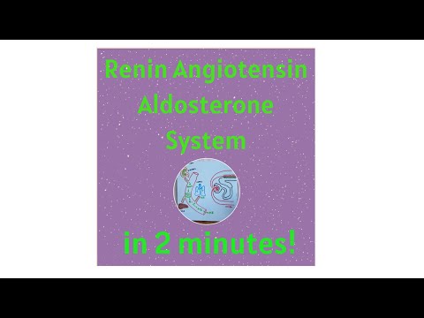 Renin Angiotensin Aldosterone System in under 2 mins!