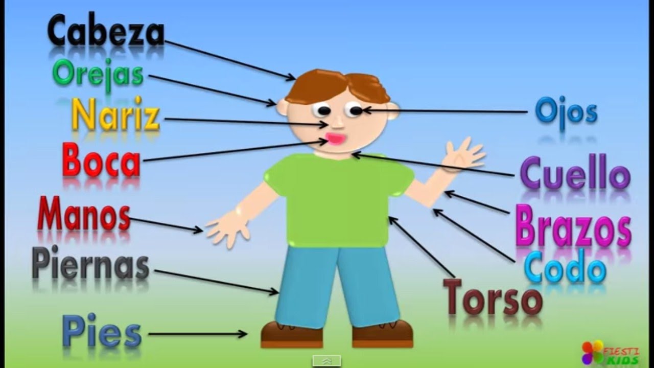 Las Partes Del Cuerpo Para Niños, Our Body Parts In Spanish For Children (Video Infantil)