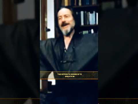 What is Nirvana? #alanwatts #nirvana #Philosophy #Spirituality #Zen #buddha #shorts