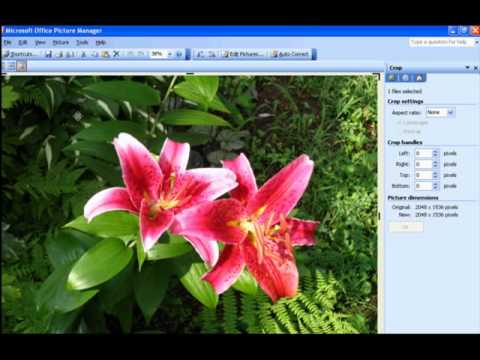 Resize Pictures Using Microsoft Picture Manager