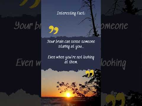 Positivity is a superpower