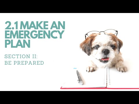2.1 Make an Emergency Plan for Your Pet │Pet First Aid Course