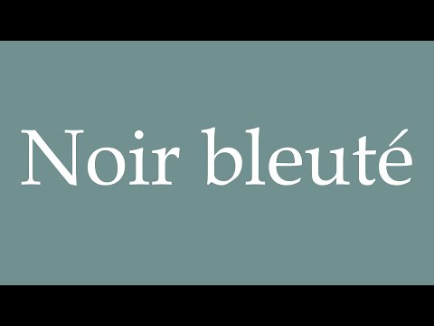 How to Pronounce ''Noir bleuté'' (Blue-black) Correctly in French