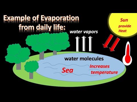 What is Evaporation | Evaporation Definition with Examples | Digital kemistry