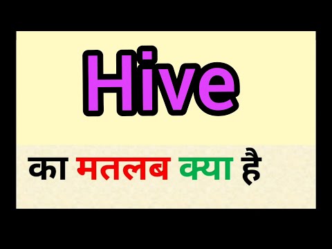 Hive meaning in hindi || hive ka matlab kya hota hai || word meaning english to hindi
