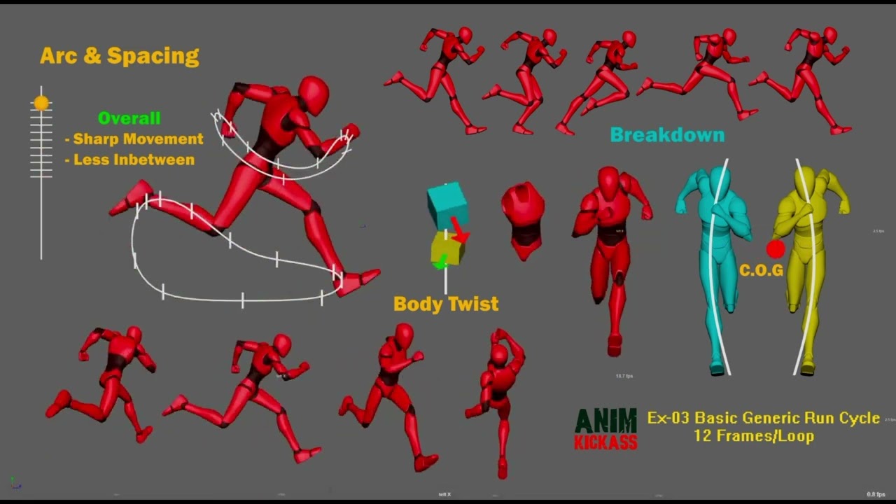 Best Run Cycle Reference for Animation