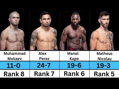 UFC Flyweight Rankings Top Fighters in 2024/Alexander Pantoja,Brandon,Amir