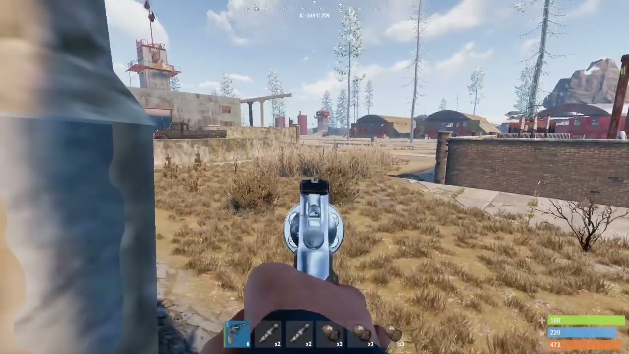 Rust Python revolver on point