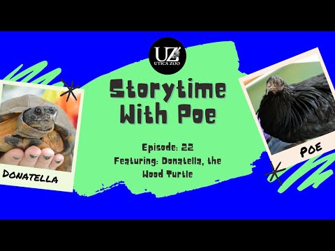 Storytime With Poe Episode 22 - "Near One Cattail" feat. Donatella, the Wood Turtle