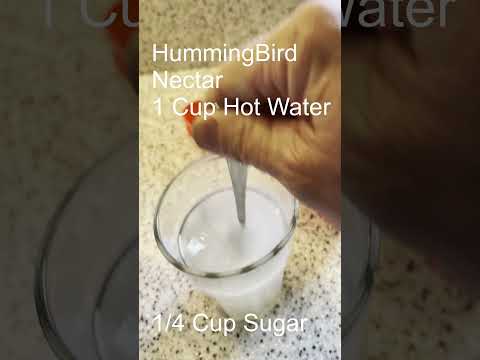 How To Make Hummingbird Nectar In Minutes