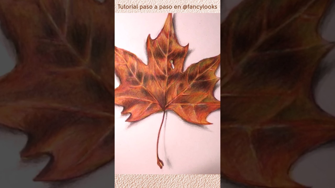 Cómo dibujar hoja marrón sin usar marrón #fancylooks #dibujo #cmyk
