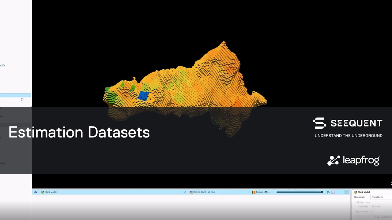 Estimation datasets in Leapfrog 2026.1