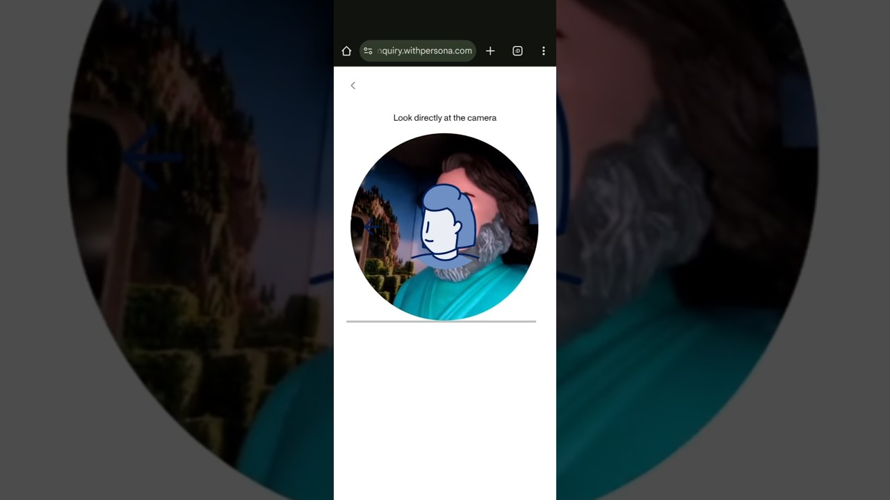 Reddit Age Verification Bypass Attempt