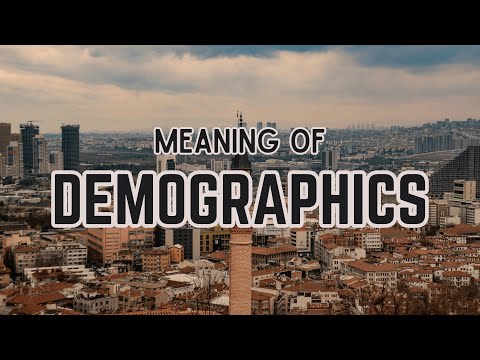 What is the meaning of Demographics?