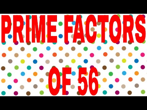 Prime factors of 56