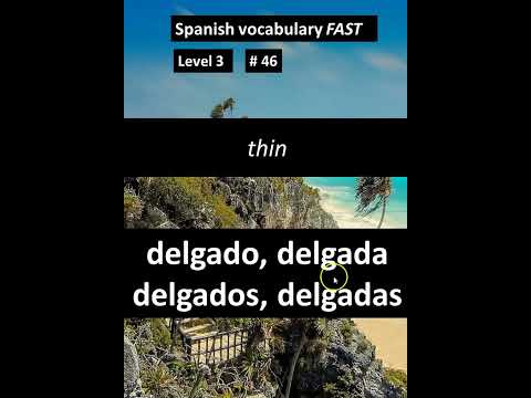 THIN / DELGADO, DELGADA #spanish