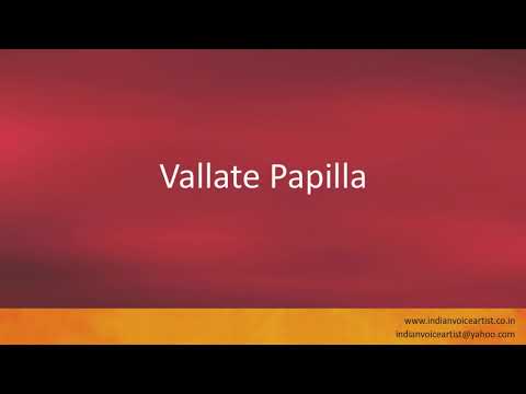 Pronunciation of the word(s) "Vallate Papilla".
