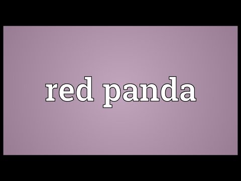 Red panda Meaning