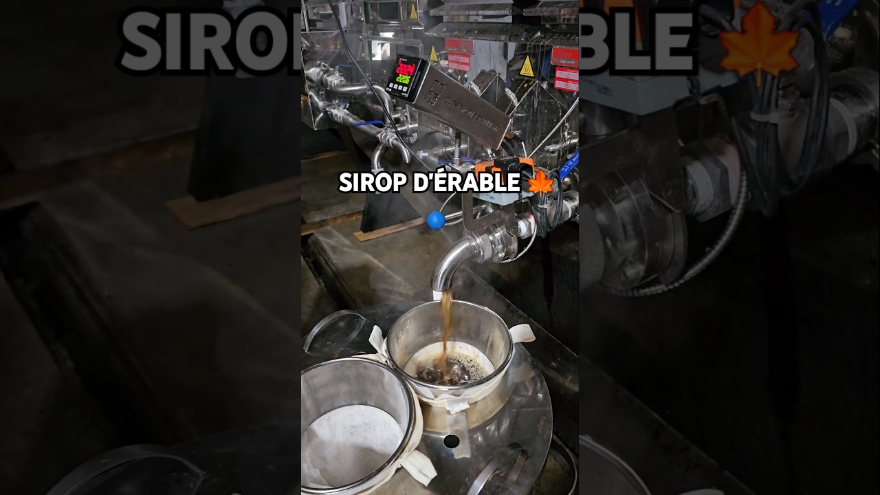 Maple syrup in a sugar bush