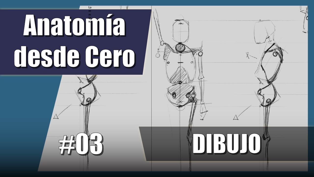 Anatomía #03 Proporciones del cuerpo Dibujo Nivel Cero Principiante