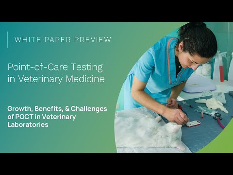 White Paper Preview | Point-of-Care Testing in Veterinary Medicine