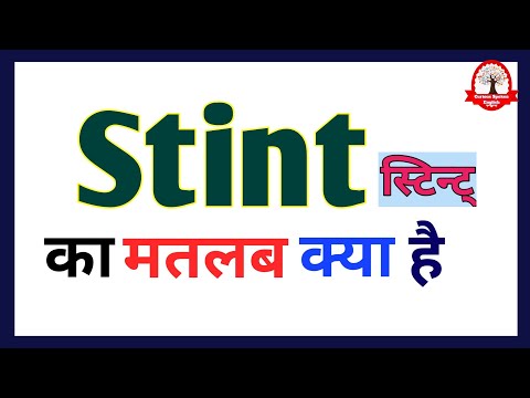 Stint Meaning in Hindi || Stint का मतलब हिंदी में क्या होता है || English Vocabulary in Hindi