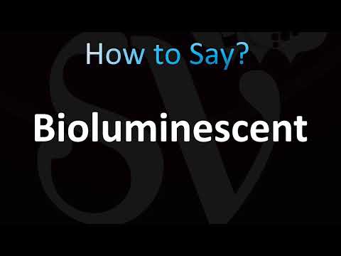 How to Pronounce ''Bioluminescent'' (CORRECTLY!)