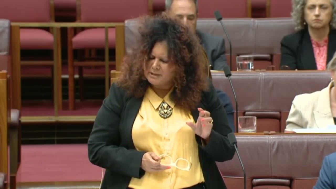 Audit of Aboriginal Spending Is Necessary! - Malcolm Roberts Audit of Aboriginal Spending Is Necessary! - Malcolm Roberts