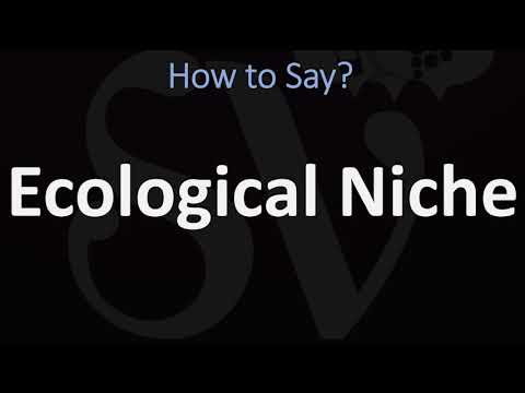 How to Pronounce Ecological Niche? (2 WAYS!) UK/British Vs US/American English Pronunciation