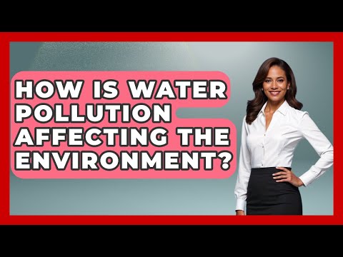 How Is Water Pollution Affecting The Environment? - Minimalist Home Life
