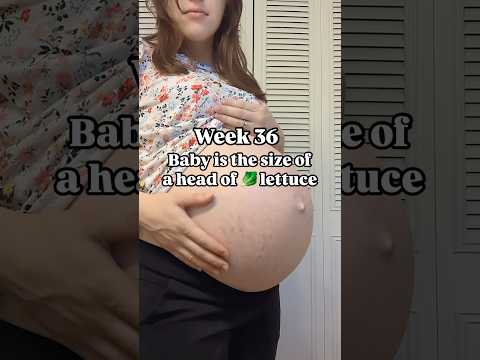 36 weeks pregnant Baby size and Development