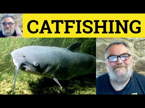 π Catfishing Meaning - Catfish Defined - Catfishing Examples - Catfish Definition Catfish Catfishing