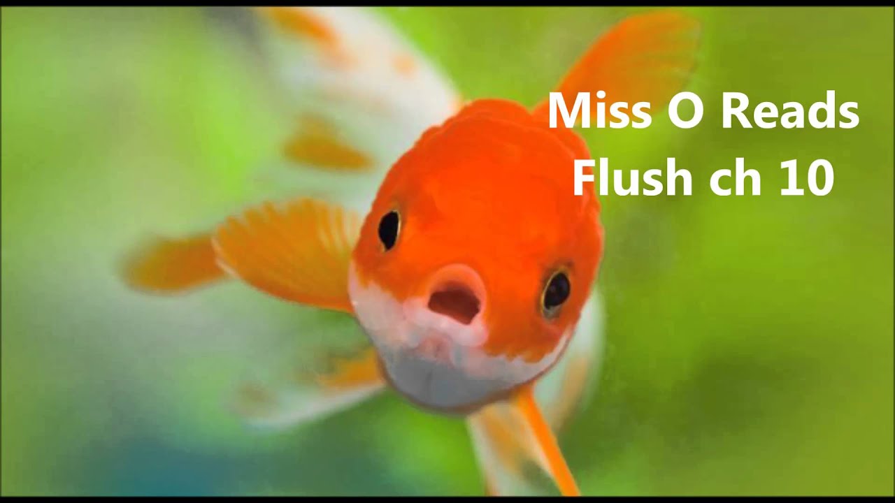 Miss O Reads Flush ch 10