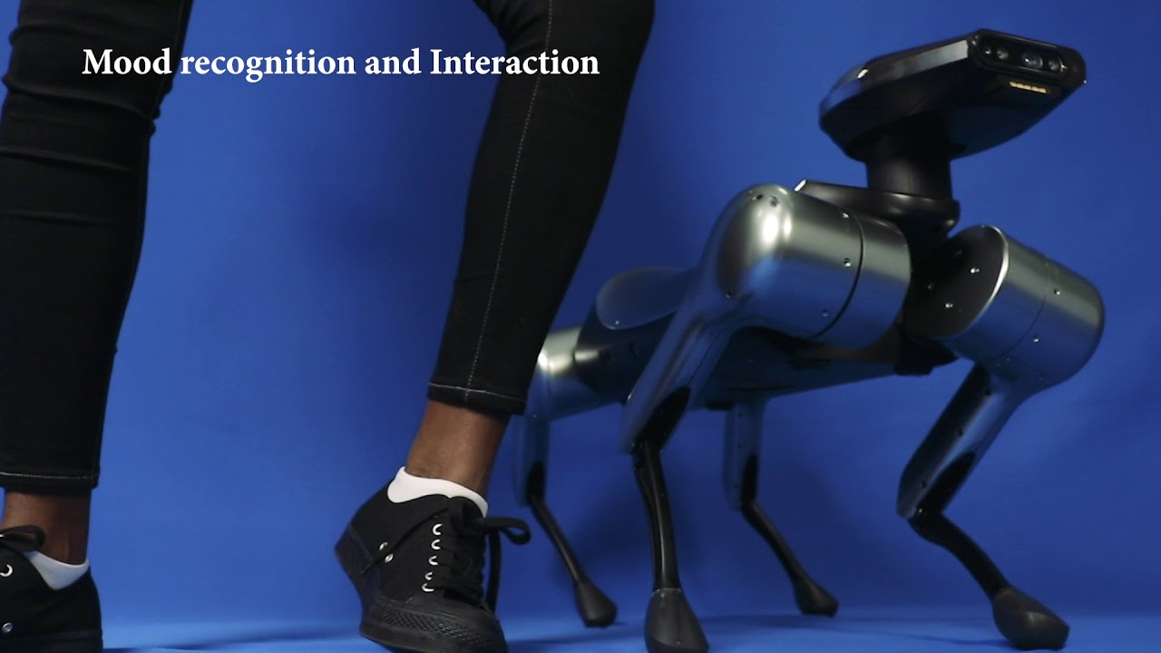 You Can Own Your Own Robot Dog! | Candy 95 | Aggieland’s Only Hit Music ...