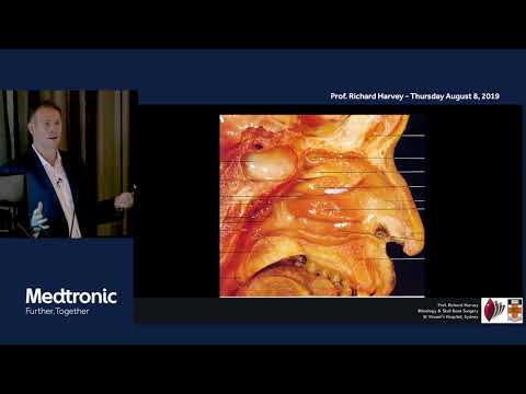 Understanding the nose and sinuses 101