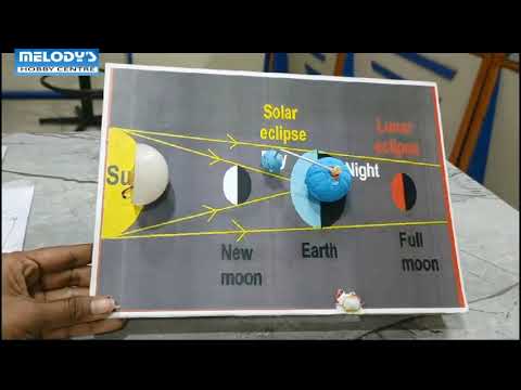 Science Models - Science Project Latest Price, Manufacturers & Suppliers