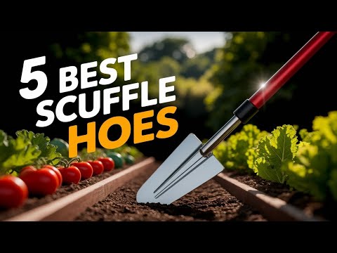 5 Best Scuffle Hoes- Winners of 2025