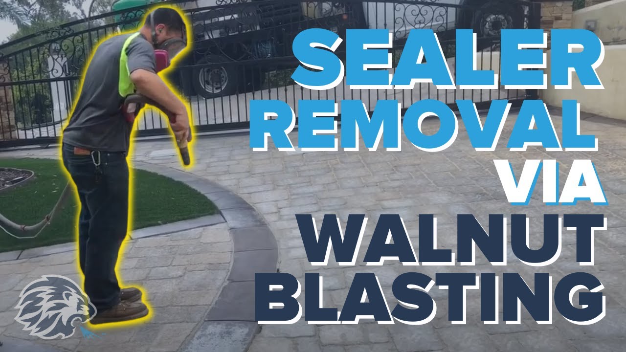 Sealer removal via walnut blasting