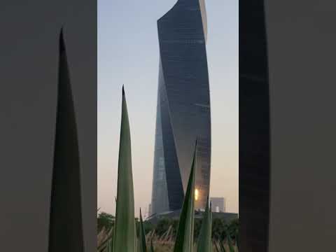 What is the name of this build?