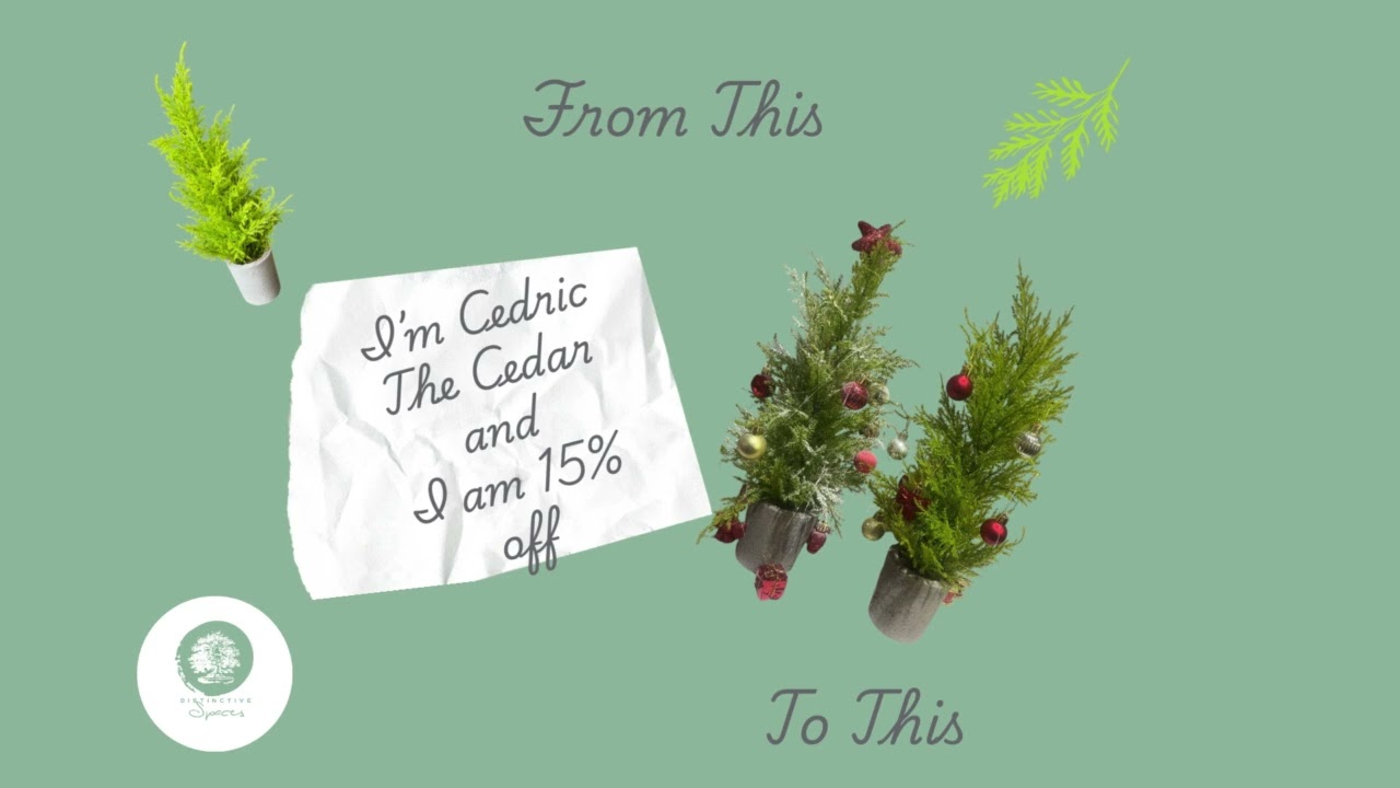 I’m Cedric The Cedar YouTube Thumbnail