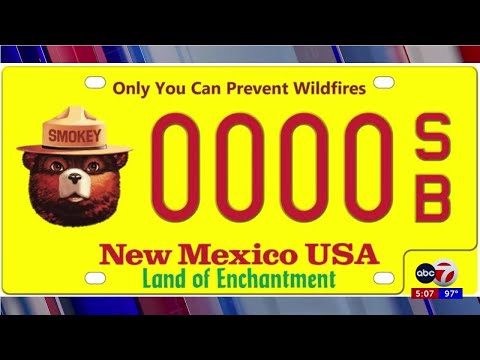 New Mexico introduces new Smokey Bear license plate, proceeds go to fighting wildfires