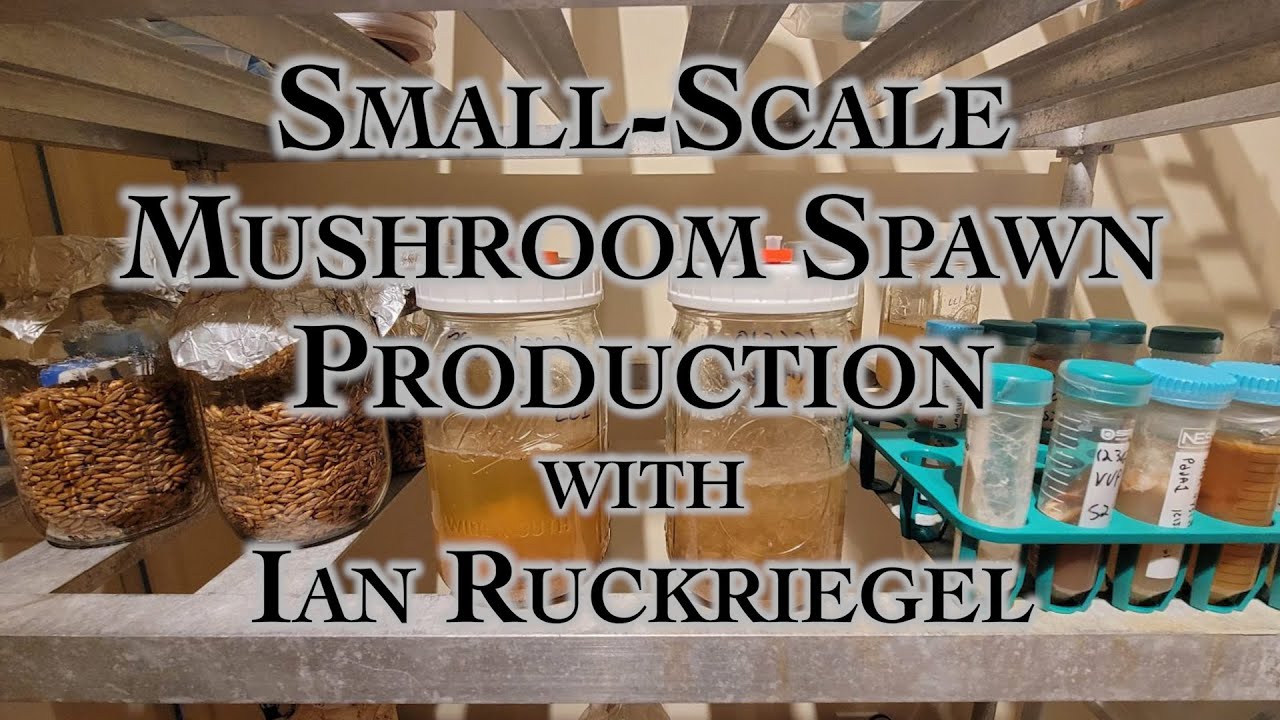 Small-Scale Mushroom Spawn Production